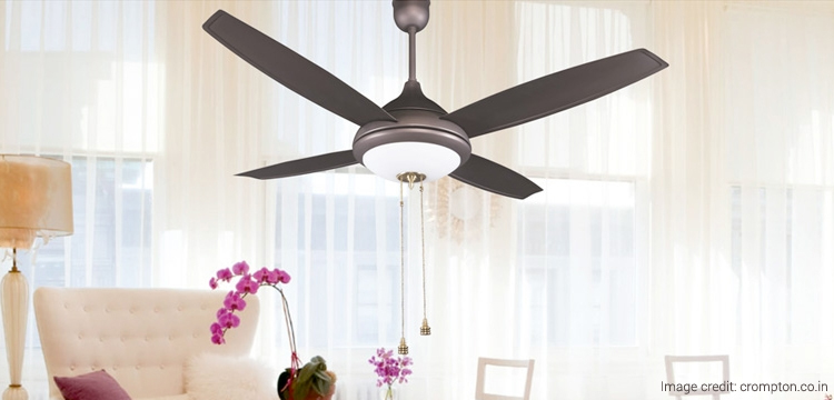 5 Best Designer Fans That are Ideal for Indian Homes